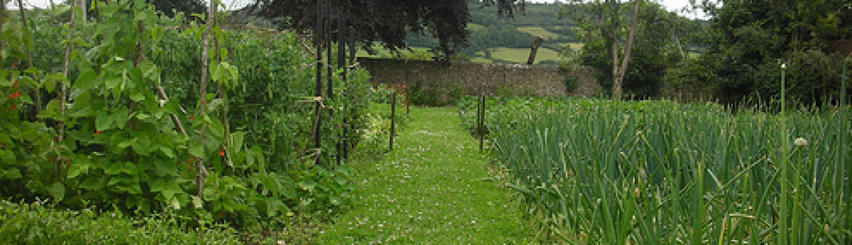 Goren Farm - Honiton | Snizl